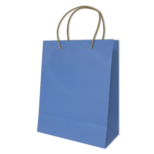 Bolsa Kraft Lisa Grande Color Azul Cielo – Tuksonora